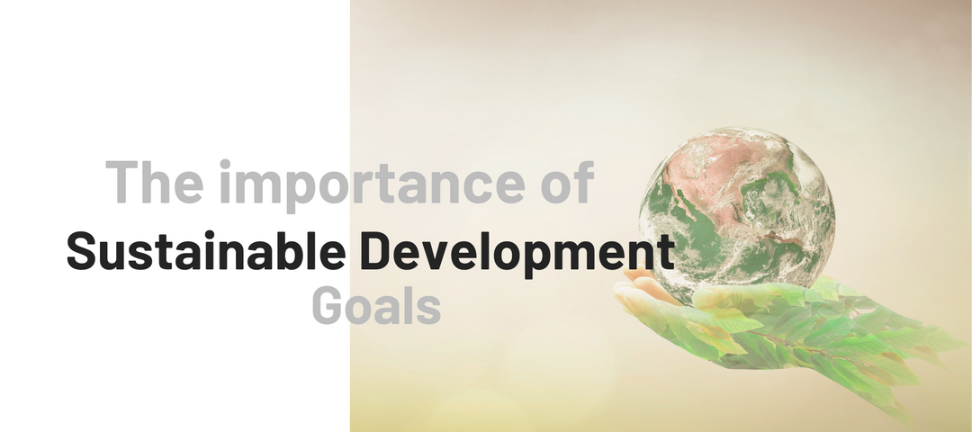 The importance of Sustainable Development Goals for startups - and for ...